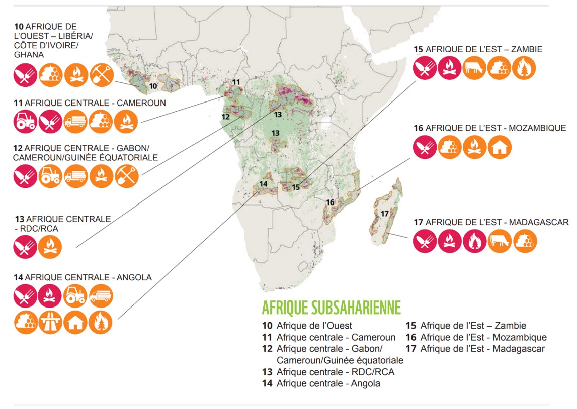 Déforestation: état de nos forêts - Humeco