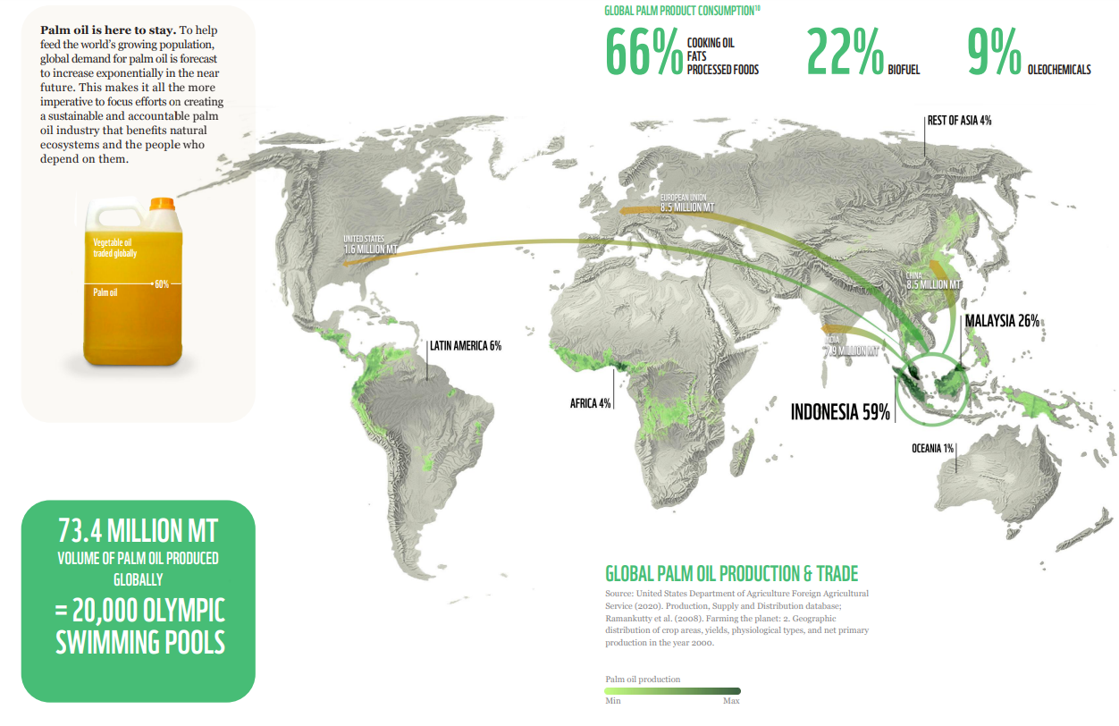 L'huile de palme, urgence environnementale et humanitaire - Humeco ...